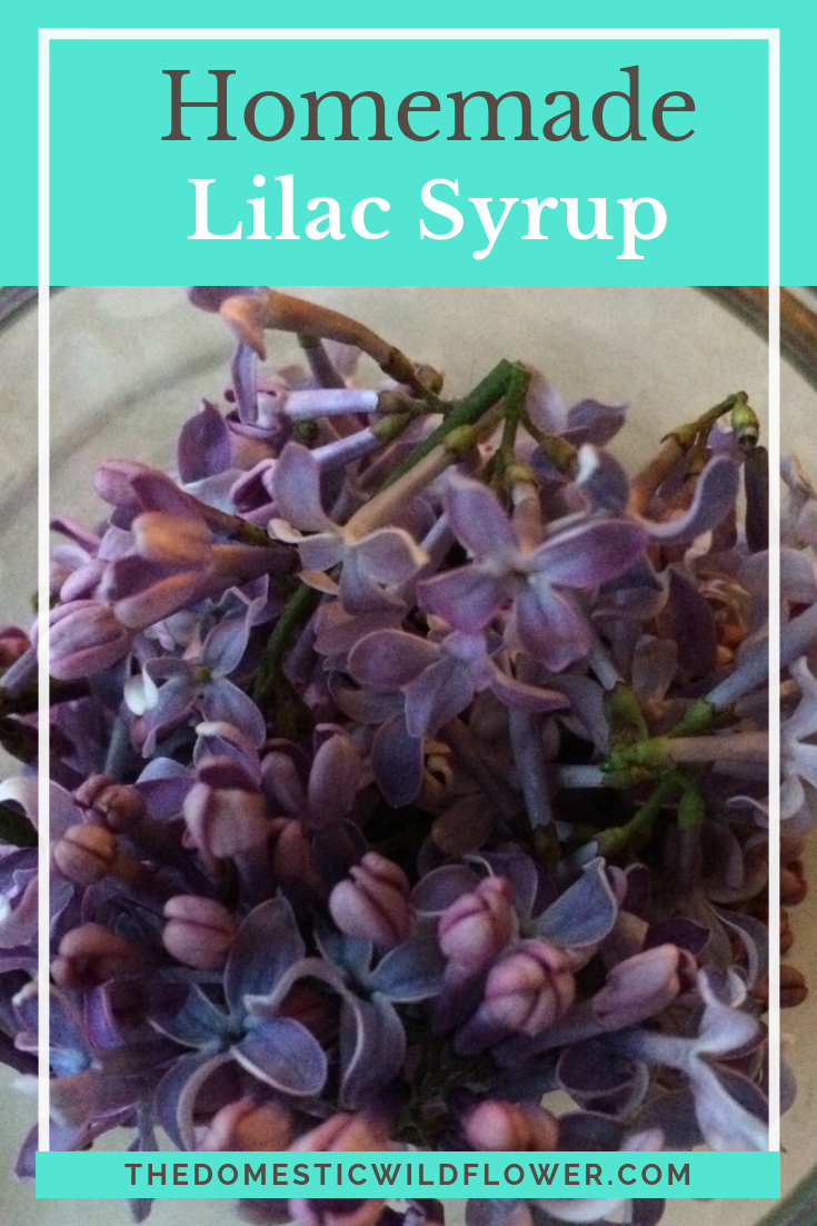 How to Make Lilac Syrup