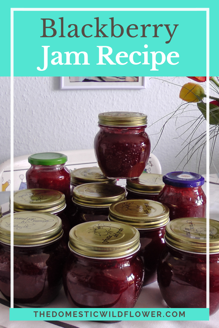 9 Jam Canning Recipes for Beginners
