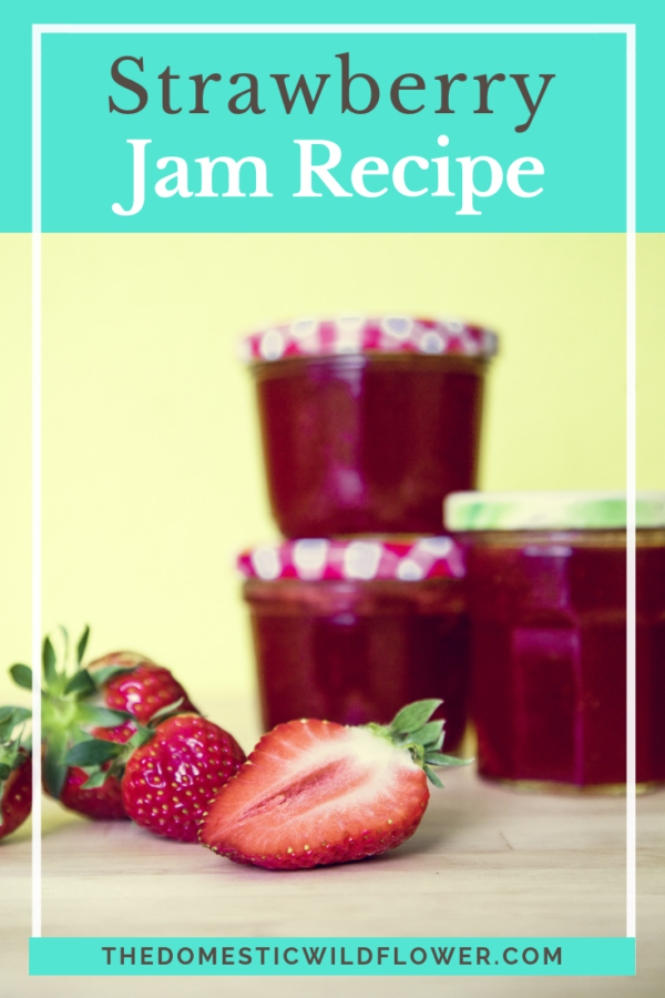 5 Strawberry Canning Recipes for Beginners