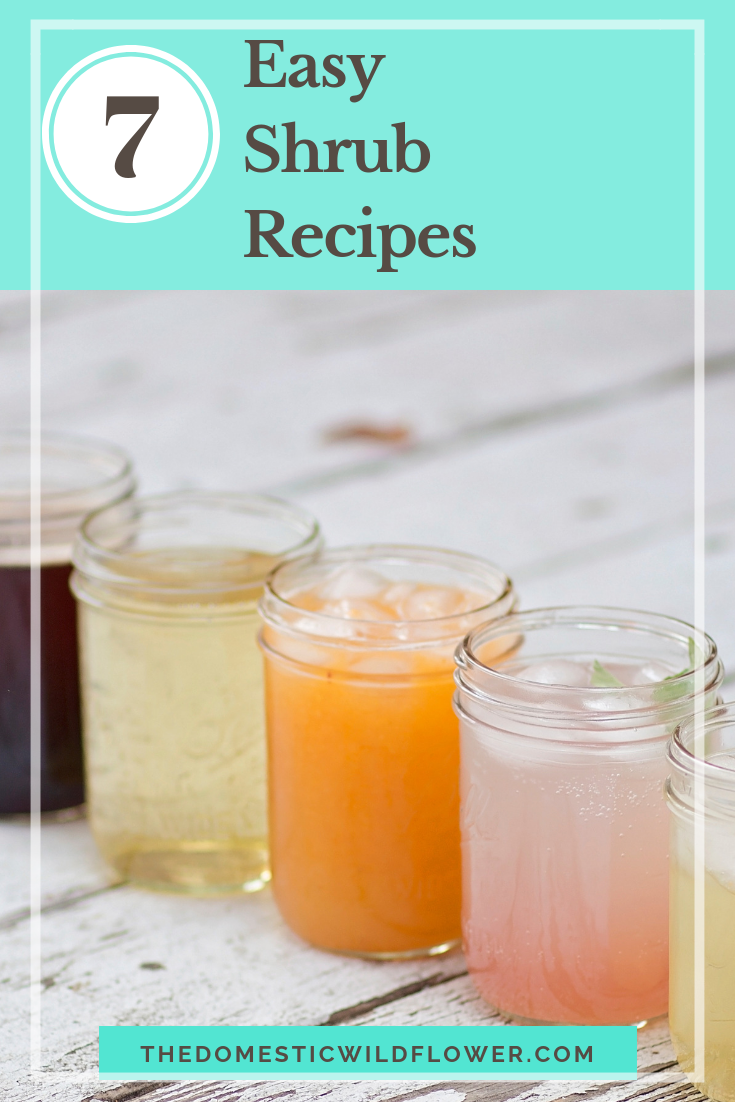 7 Easy Shrub Recipes