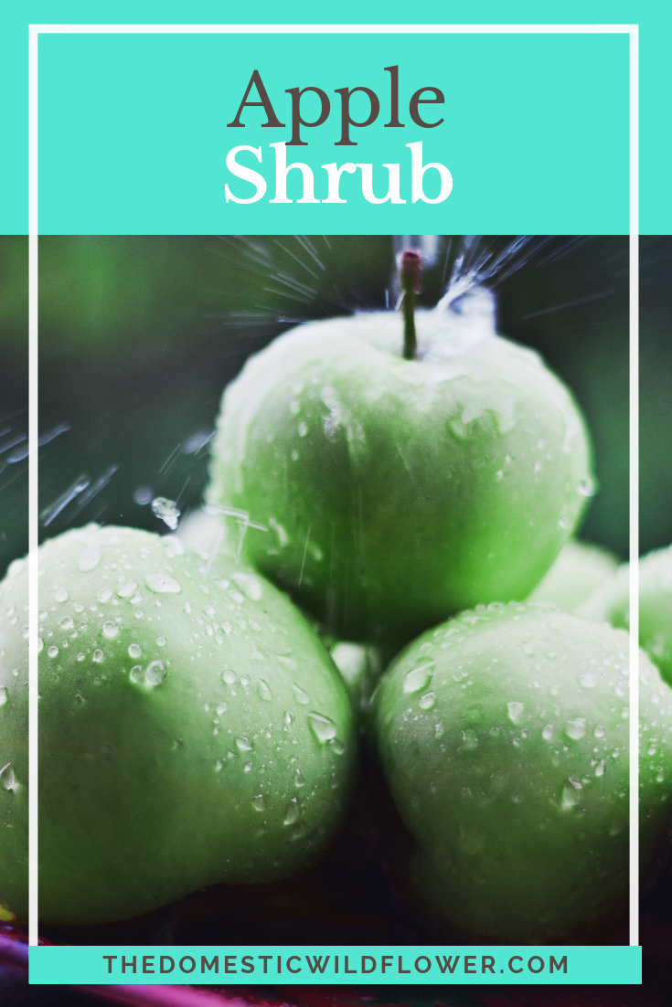 7 Easy Shrub Recipes