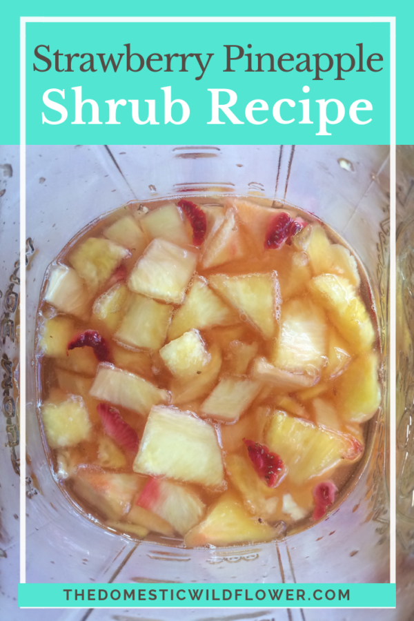 7 Easy Shrub Recipes