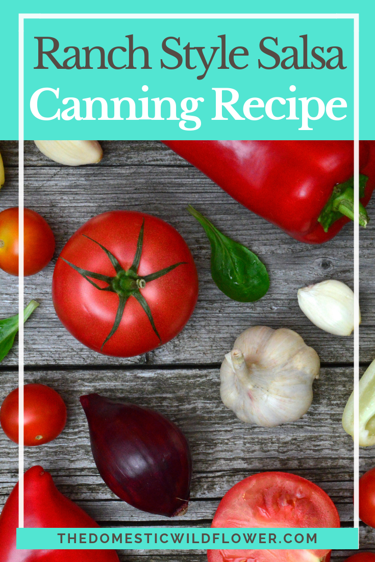 Ranch Style Salsa Recipe