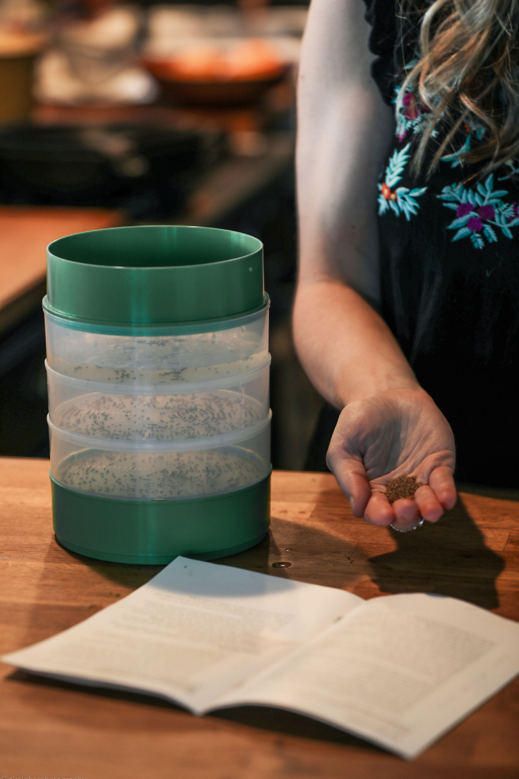 How to Grow Microgreens in a Victorio Sprouter