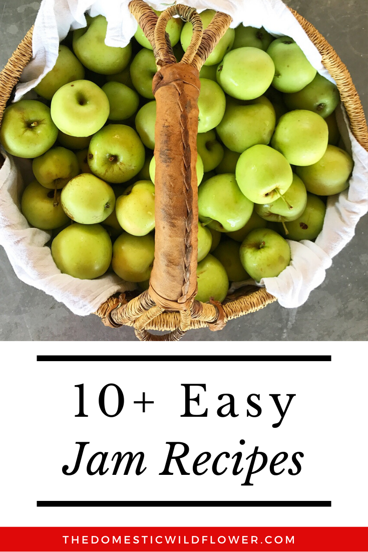 Easy Jam Recipes