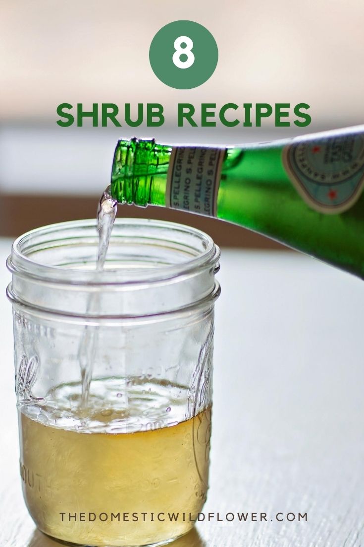 8 Shrub Recipes