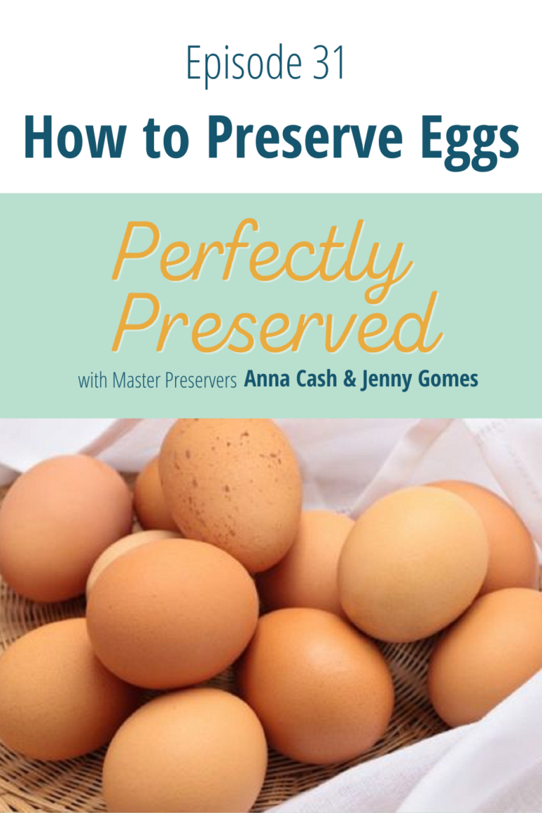 Perfectly Preserved How to Preserve Eggs